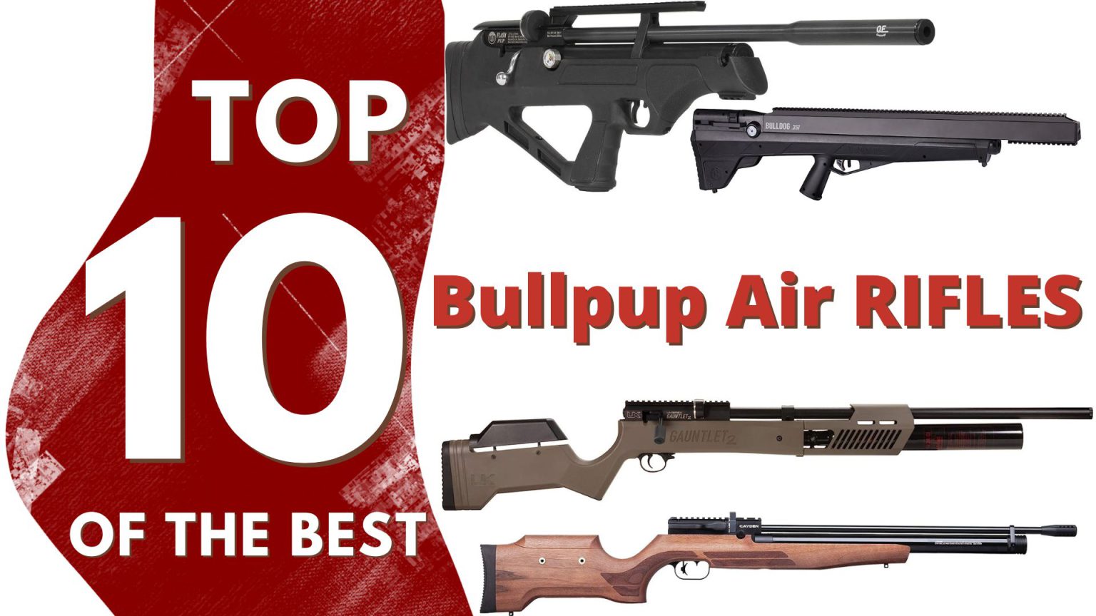 Best Pellet Guns Air Rifles - Top 10 Picks