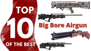 Best Big Bore Airguns: Power & Precision
